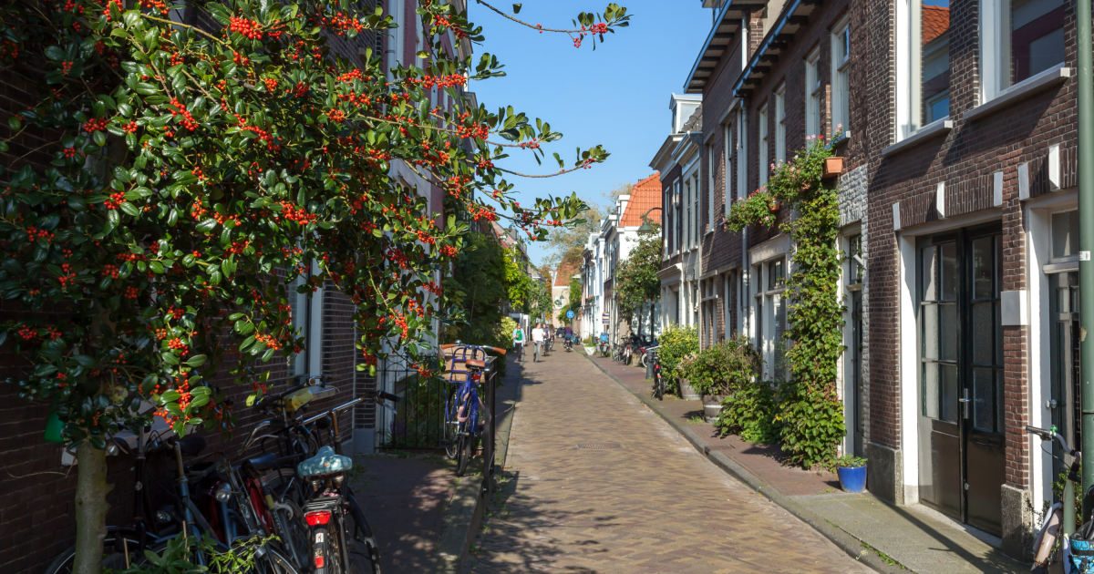 Mode-oriented street design: shifting perspectives in urban planning | Mobility Innovation ...